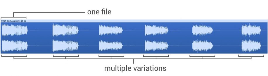 Dogs | Premium Dog Sounds By BOOM Library