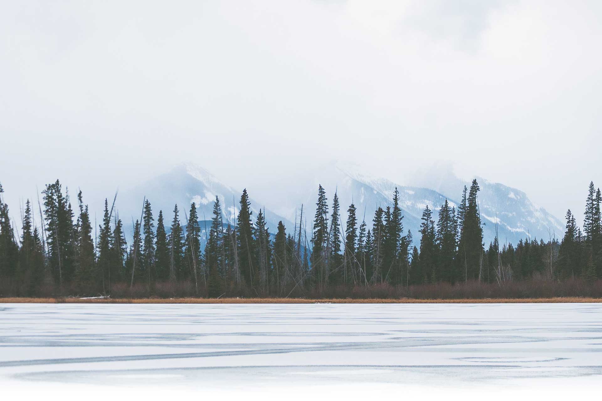 Quiet Planet - Nature Ambience Sounds | BOOM Library